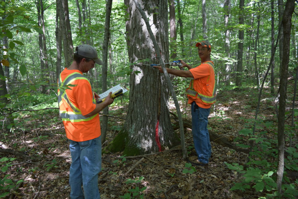 Forestry Log Procurement - Townsend Lumber